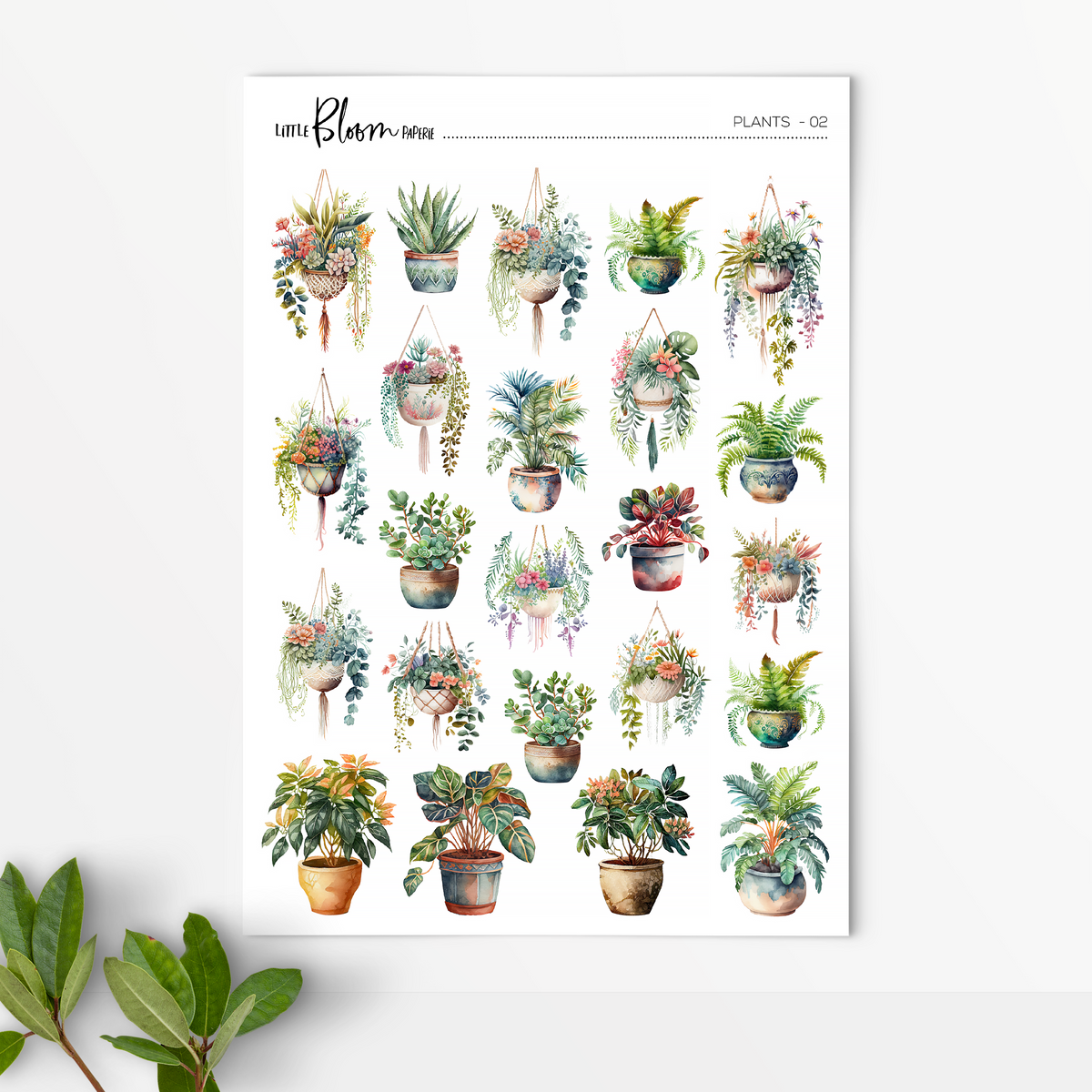 Plants V2 | Large (5x7 sheet) – LittleBloomPaperie